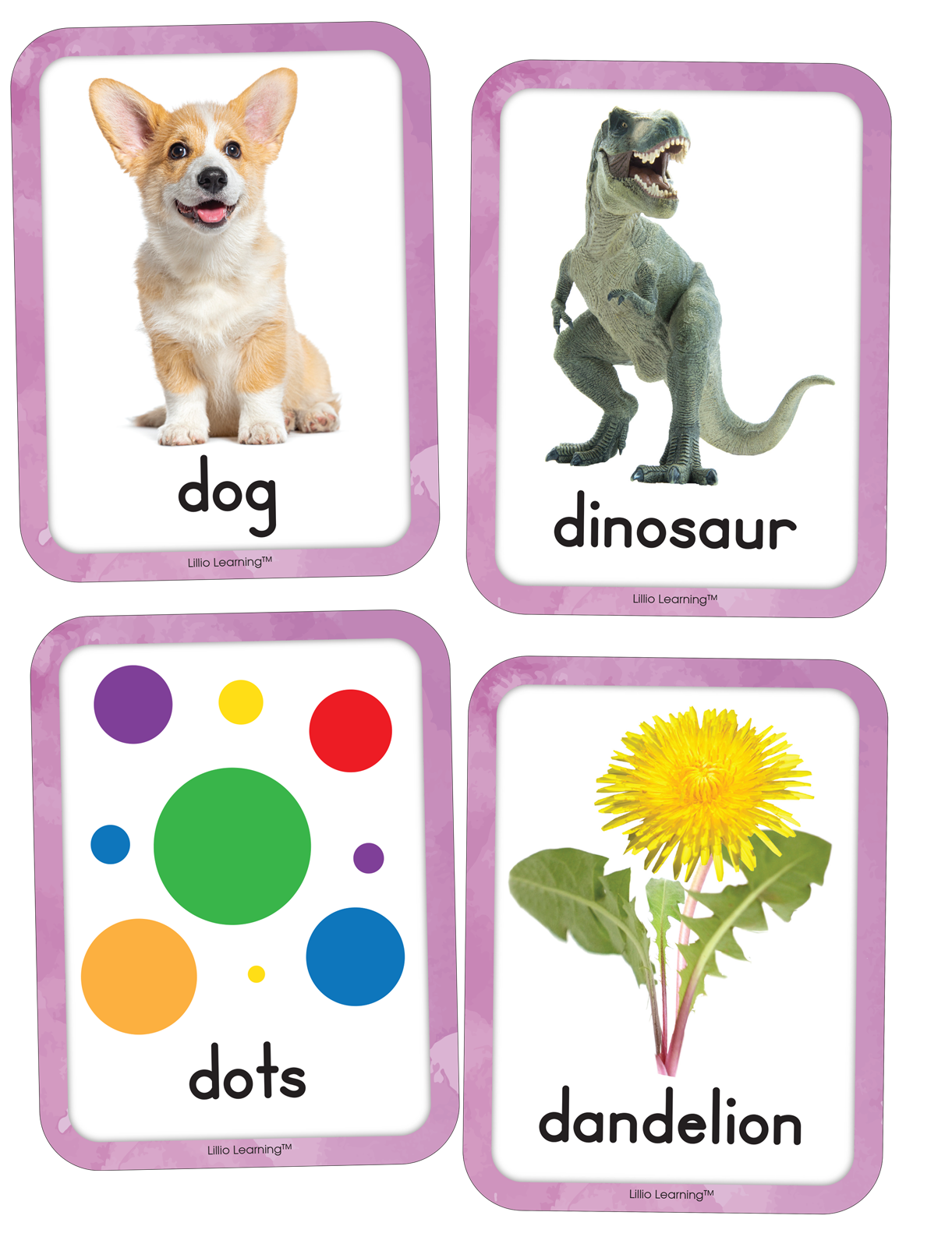 Curriculum Cues: Using the Alphabet Word Cards